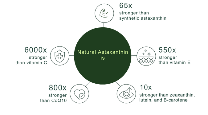 Astaxanthin Benefits: The Most Powerful Antioxidant You’ve Never Heard Of